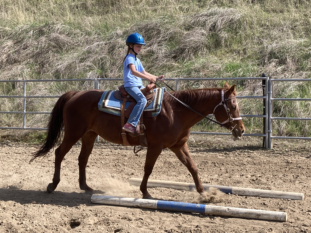 Horsemanship Education | gardenspringsfarm.com